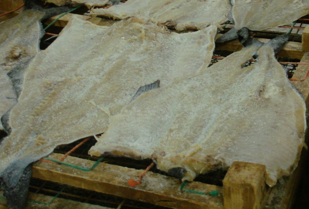 Sjomatnorge.no Fra saltfisk til klippfisk - Sjomatnorge.no